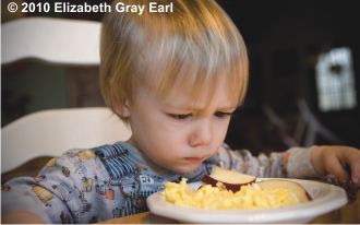 Preparing the Brain to Learn Begins Before Birth